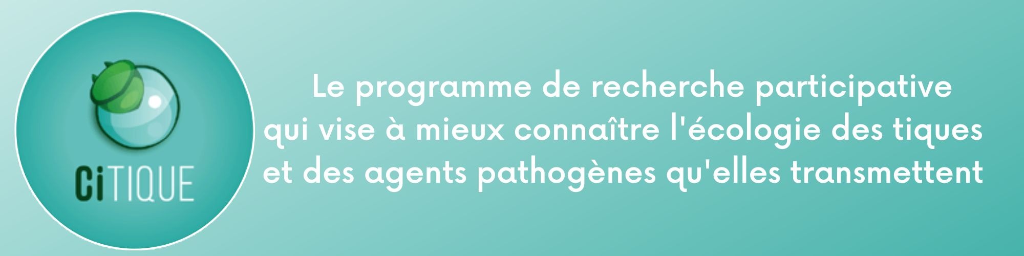 Le bilan 2023 de CiTIQUE - Association France Lyme