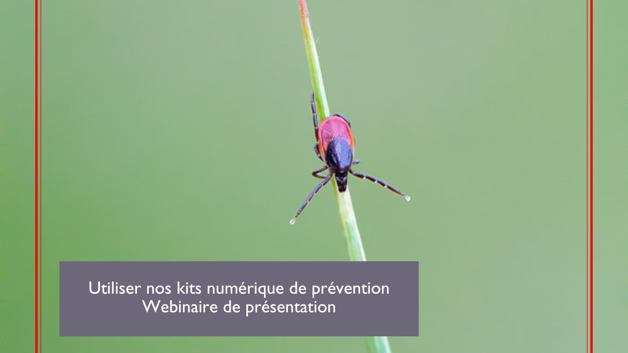 Comment faire une intervention de prévention pour les enfants et les ...